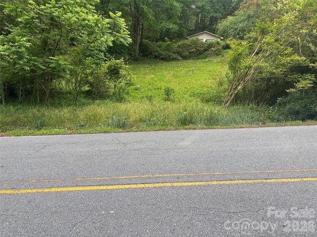 Browning Ave, Hendersonville, NC 28739