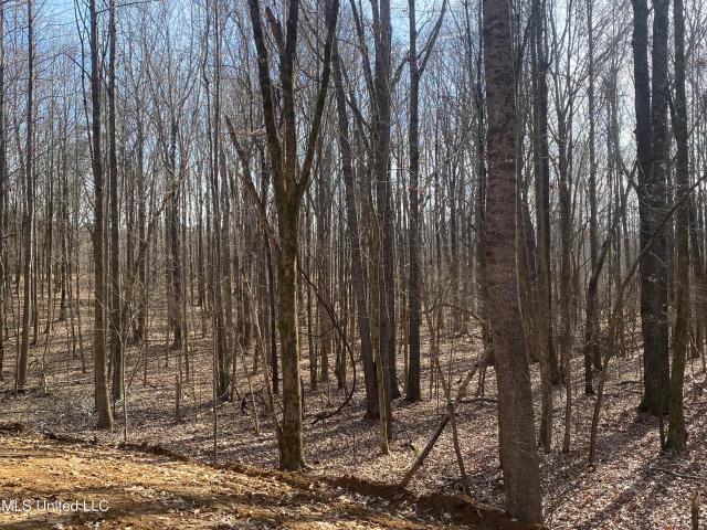 Brownsferry Rd Road, Sarah, MS 38665