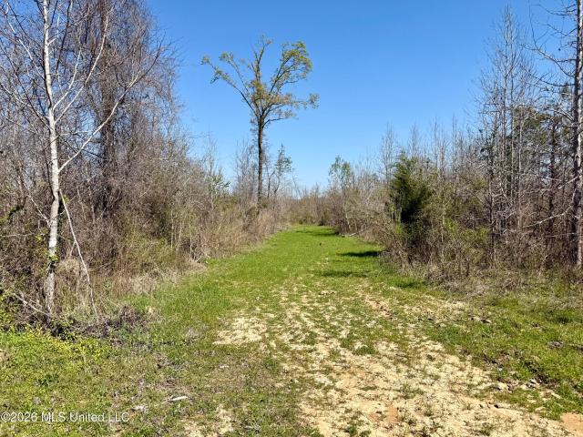 Brozville Road, Lexington, MS 39095