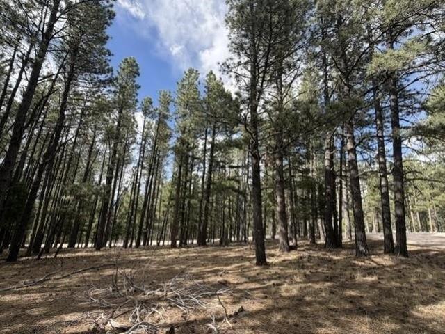 Broadmoor Way Lot 12, Angel Fire, NM 87710