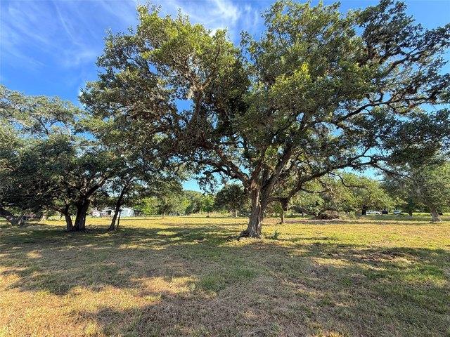 Brock Rd, West Columbia, TX 77486