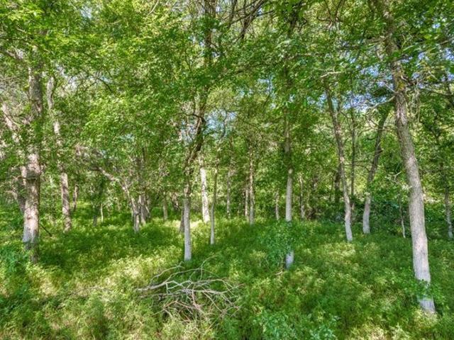 Brockdale Park Rd, Lucas, TX 75002