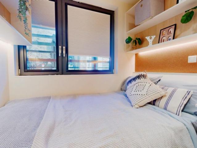 Bronze 3 Bed Apt Plus
