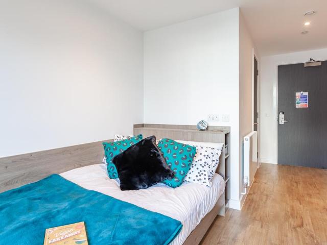 Bronze En Suite at Pavilion Point. 1 bed private hall to rent £1,018 pcm £235 pw