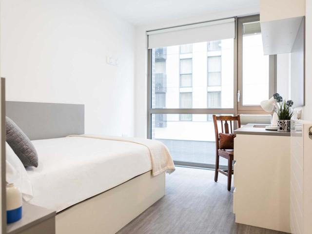 Bronze Ensuite Mid Level Has a Room