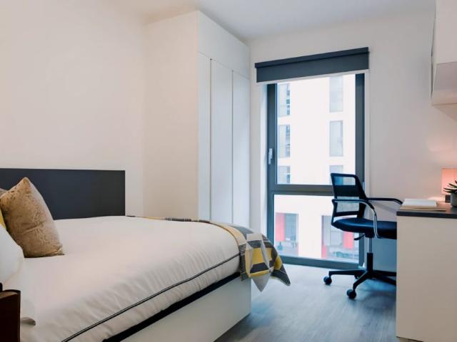 Bronze Studio Mid Level