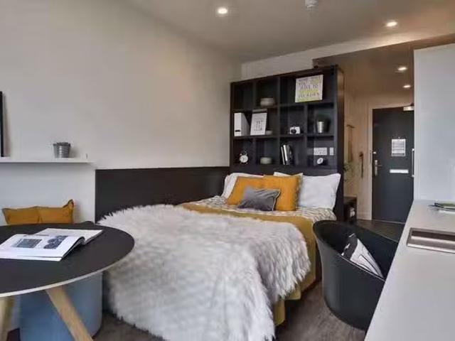 Bronze Studio Mid Level