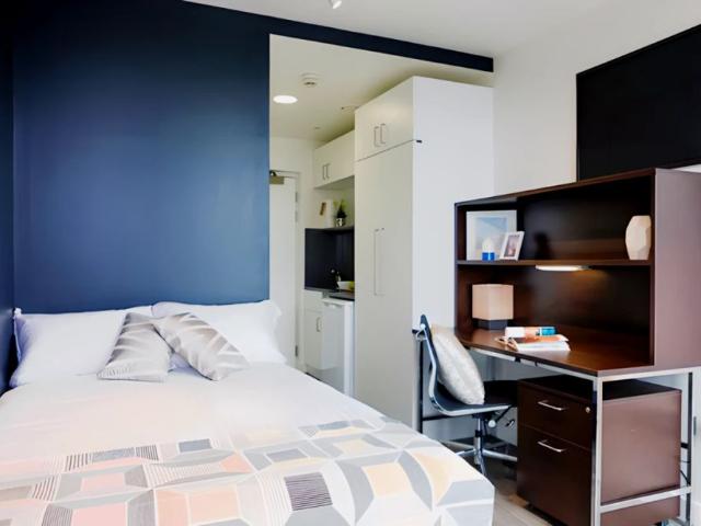 Bronze Studio Mid Level