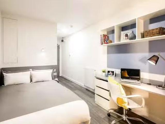 Bronze Studio Mid Level