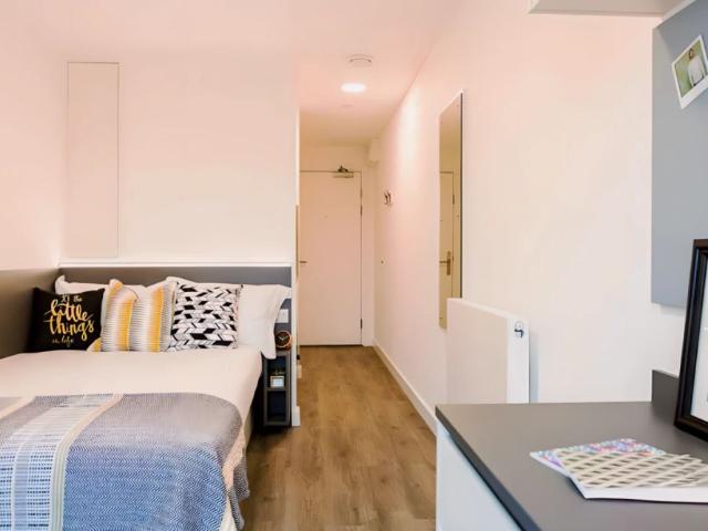 Bronze Studio Mid Level