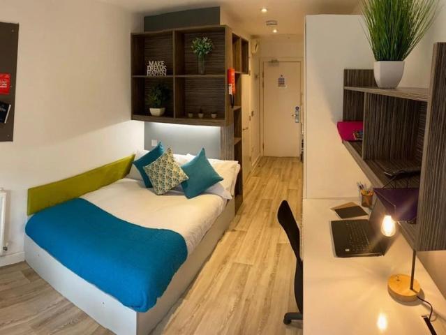 Bronze Studio at Newcastle 1 available