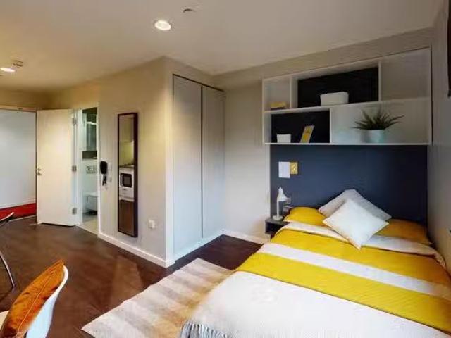 Bronze Studio Plus