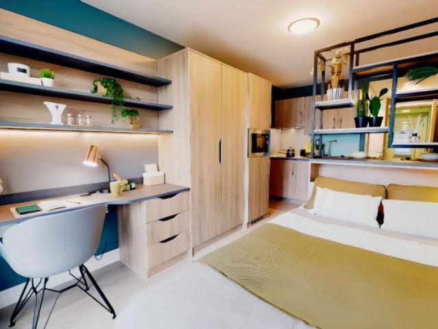 Bronze Studio Plus