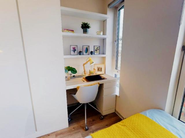 Bronze Studio Plus
