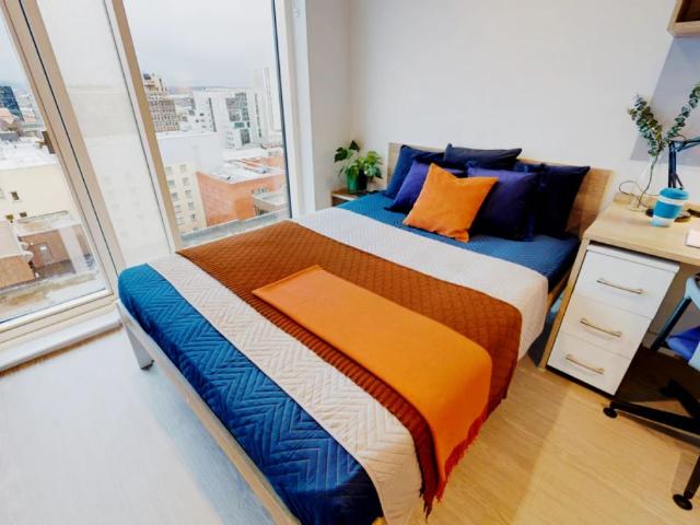 Bronze Studio Plus