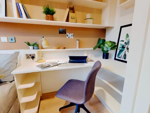 Bronze Studio Plus