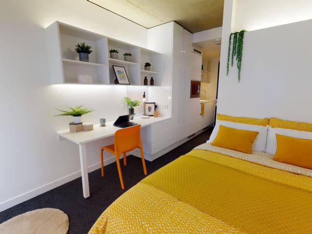 Bronze Studio Plus, at iQ Flinders House
