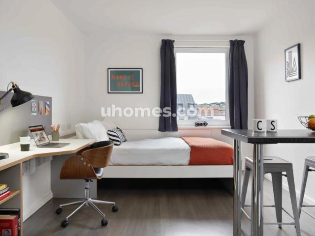 Bronze Studio Single Occupancy