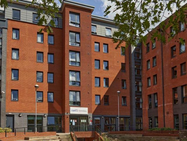 Bronze Studio Single Occupancy
