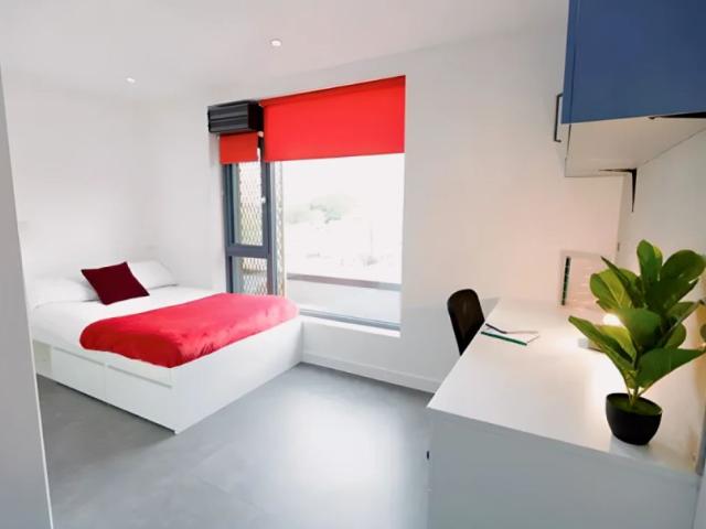 Bronze Studio