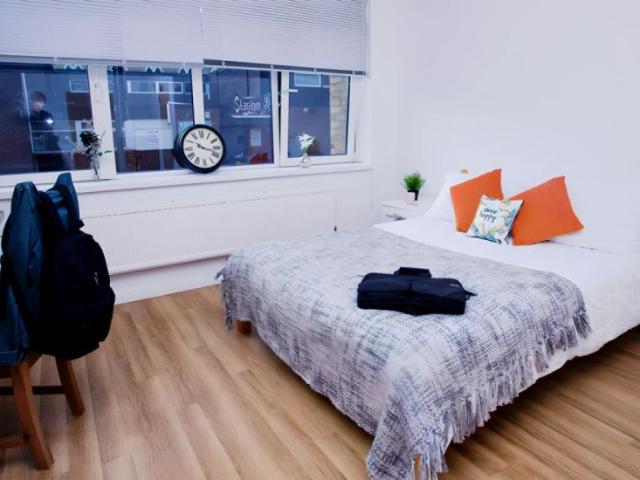 Bronze Plus Studio