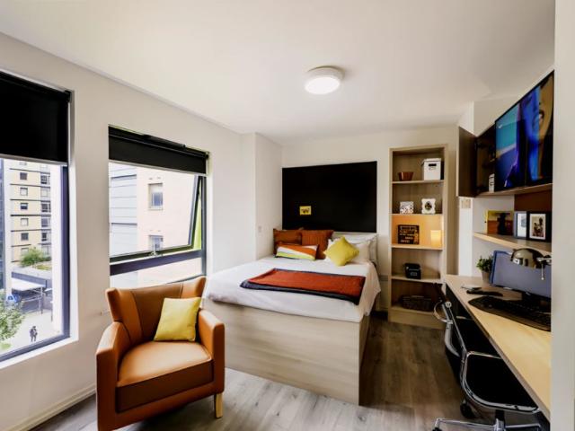 Bronze Plus Studio