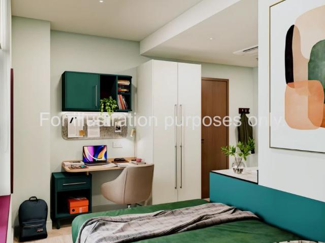 Bronze Plus Studio