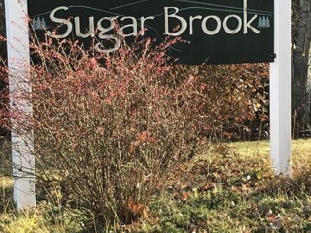 Brook View Rd Lot, Newport, Plot For Sale
