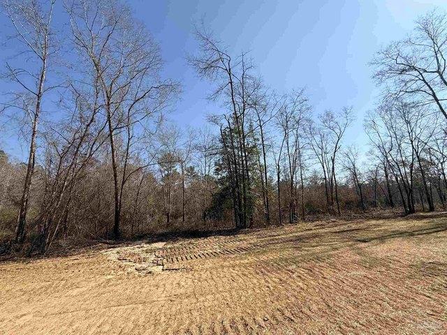 Brook Crossing St Lot 13, Pace, FL 32571