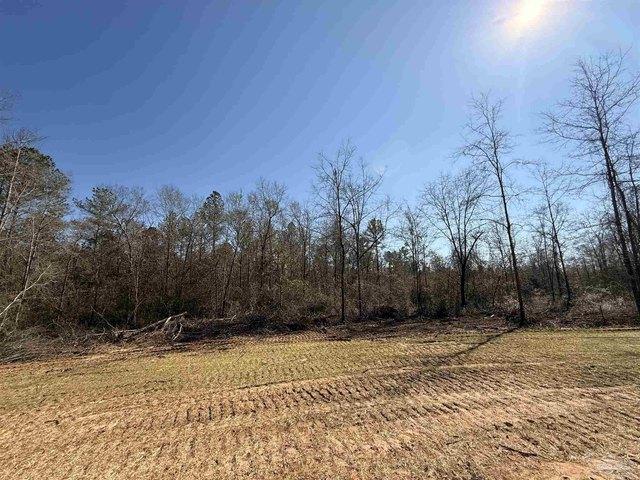 Brook Crossing St Lot 14, Pace, FL 32571