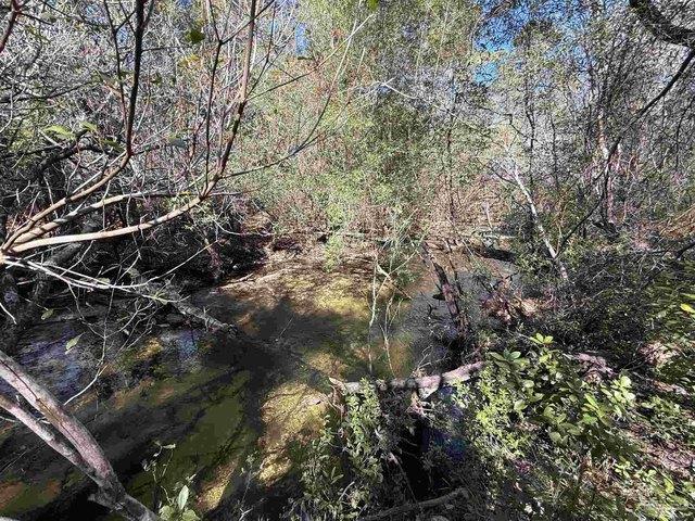 Brook Crossing St Lot 17, Pace, FL 32571