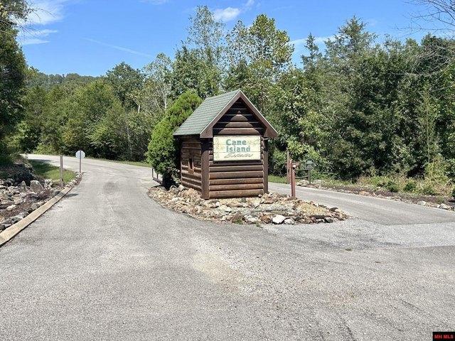 Brook Ct Lot 99, Flippin, AR 72634