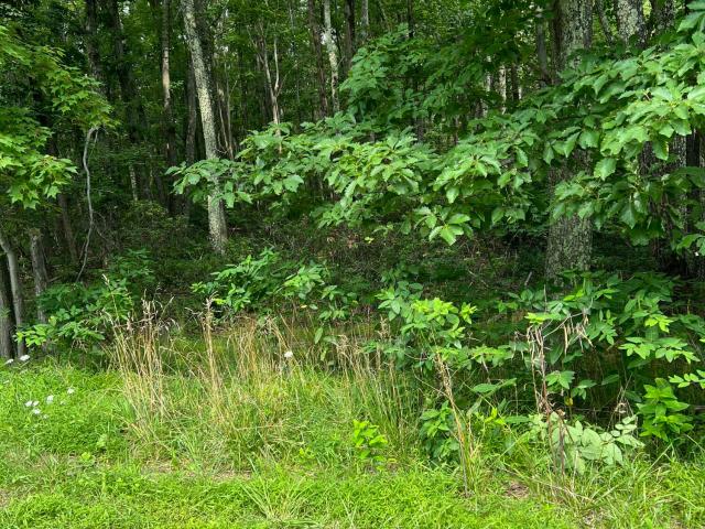 Brookeville Ter 121 Terrace, Lot 121, Mount Pocono, PA 18344