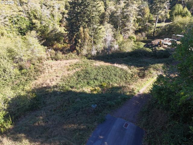 Brooke LN # 4