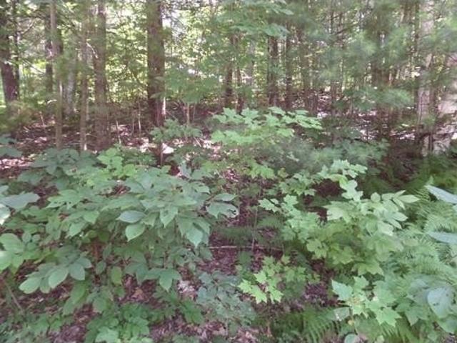 Brookfield Rd, North Brookfield, Plot For Sale