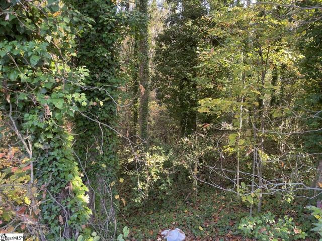 Brookforest Drive # Lot 10 F