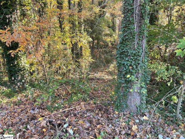 Brookforest Drive # Lot 9