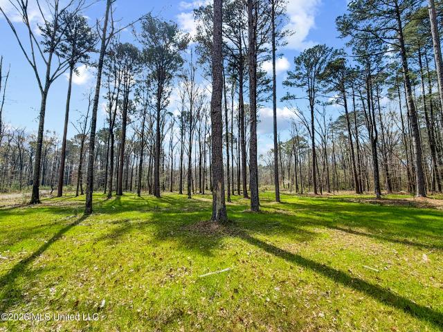Brookhollow Lot 6 Court, Flowood, MS 39232
