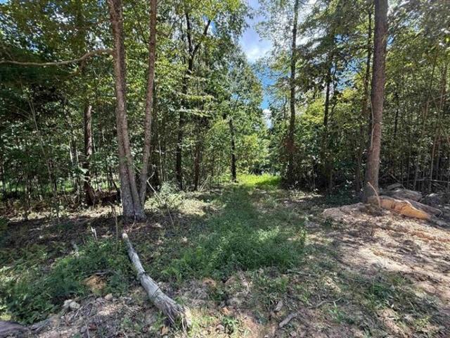 Brooklyn Way Lot,moatsville, Plot For Sale