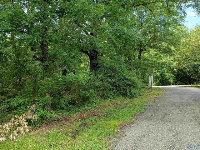 Brooklyn St Lot 103 106, Centre, AL 35960