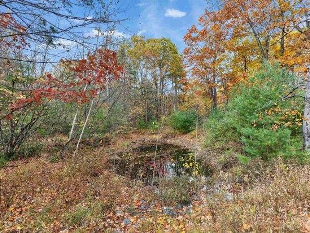 Brookline NH 03033 102371134