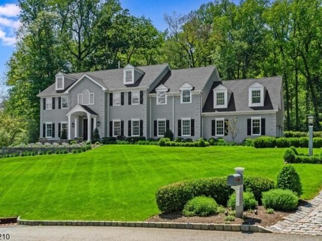 Brookrace Dr, Mendham Township, Home For Sale