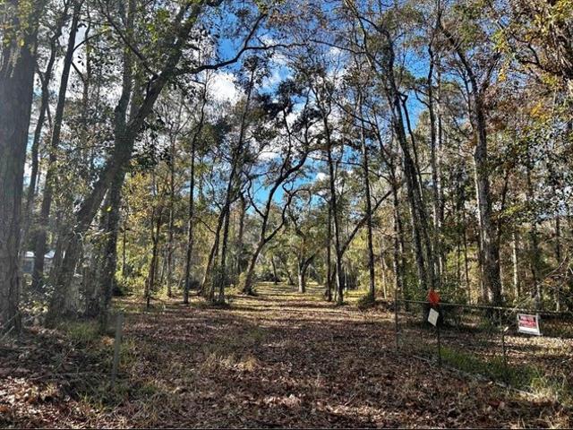 4503 Cedar Ln, Brooksville, FL 34601