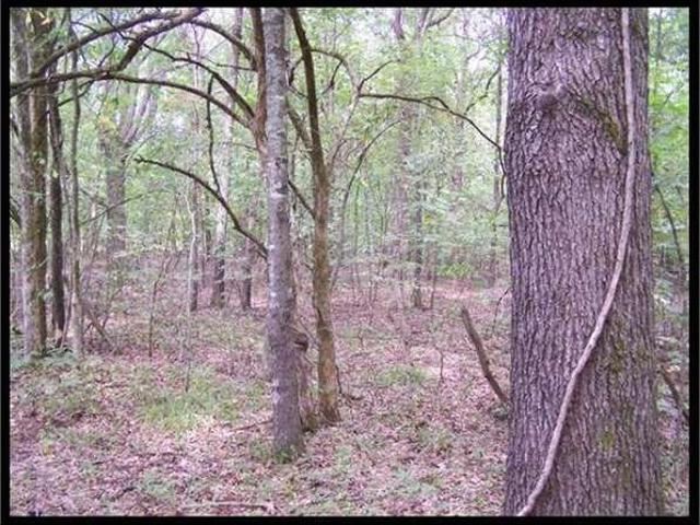 Brooksville, MS Noxubee Country Land 40 acre for sale in Bigbee Valley, Mississippi