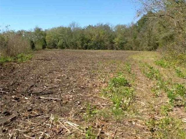 Brooksville, MS Noxubee Country Land 61.0000 acre for sale in Bigbee Valley, Mississippi
