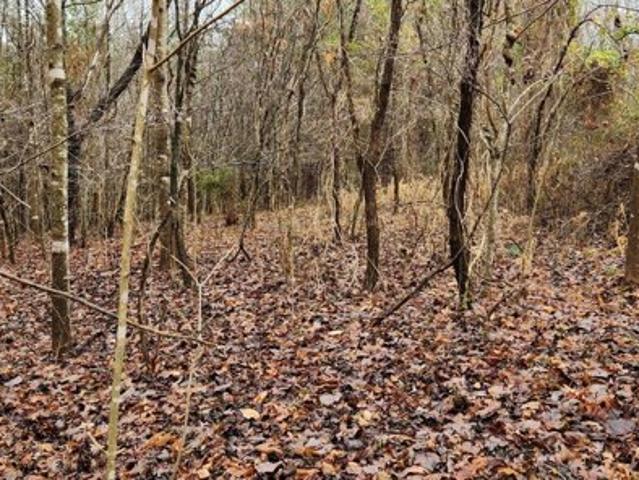 Brooks Mill Rd Lot,glade Hill, Plot For Sale