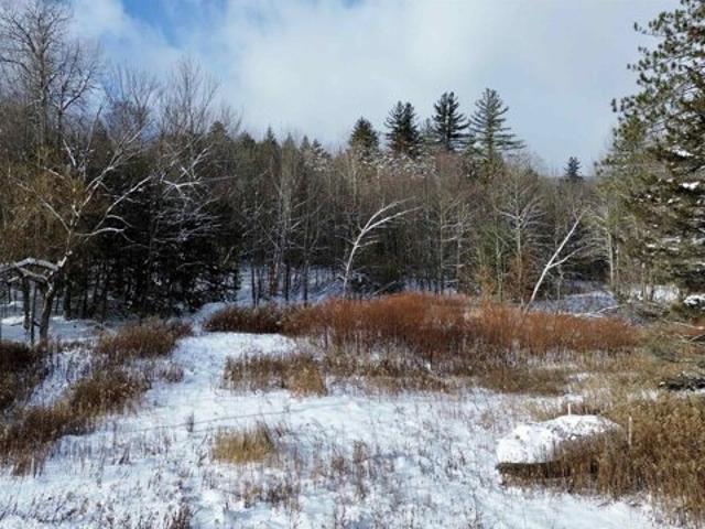 Brooks Rd, Ludlow, Plot For Sale