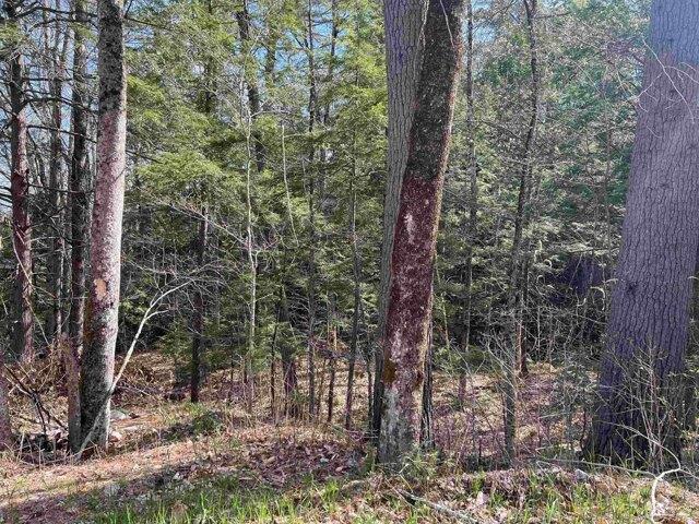 Brookside St, Conway, Plot For Sale