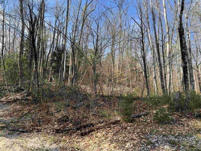 Brookside St, Conway, Plot For Sale