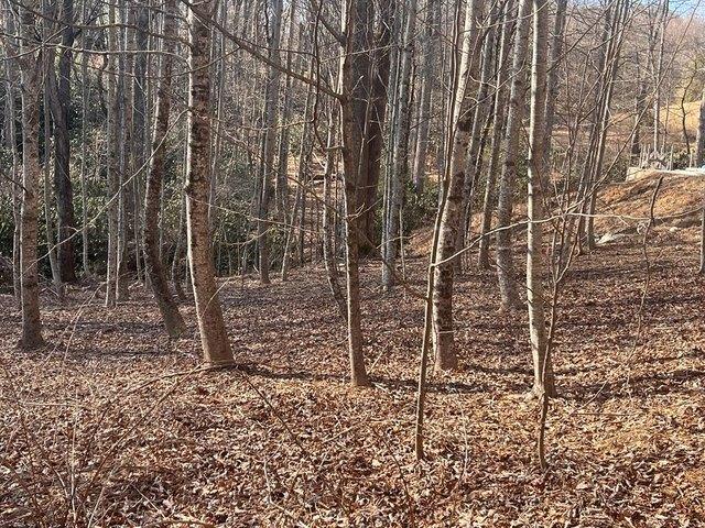 Brookside Trl Lot 129A3, Fancy Gap, VA 24328